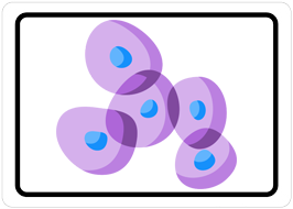 ILS Genomics Workshop 2023